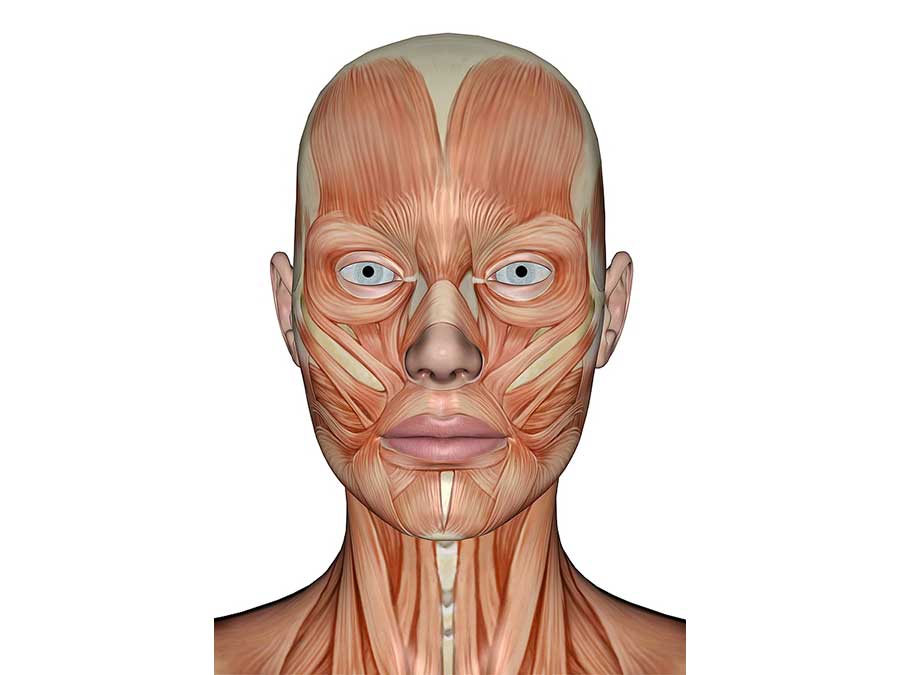 CT Scan | Vermont Diagnostic Imaging