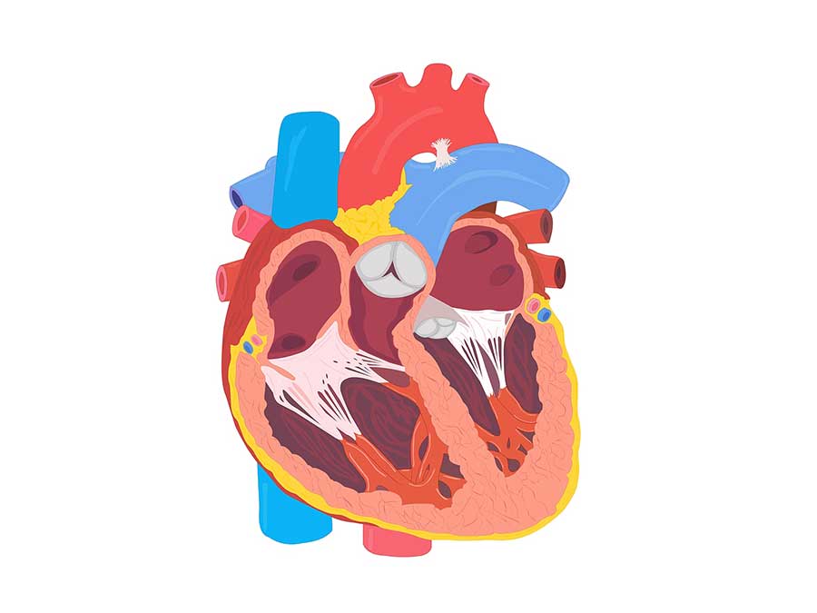 CT Scan | Vermont Diagnostic Imaging